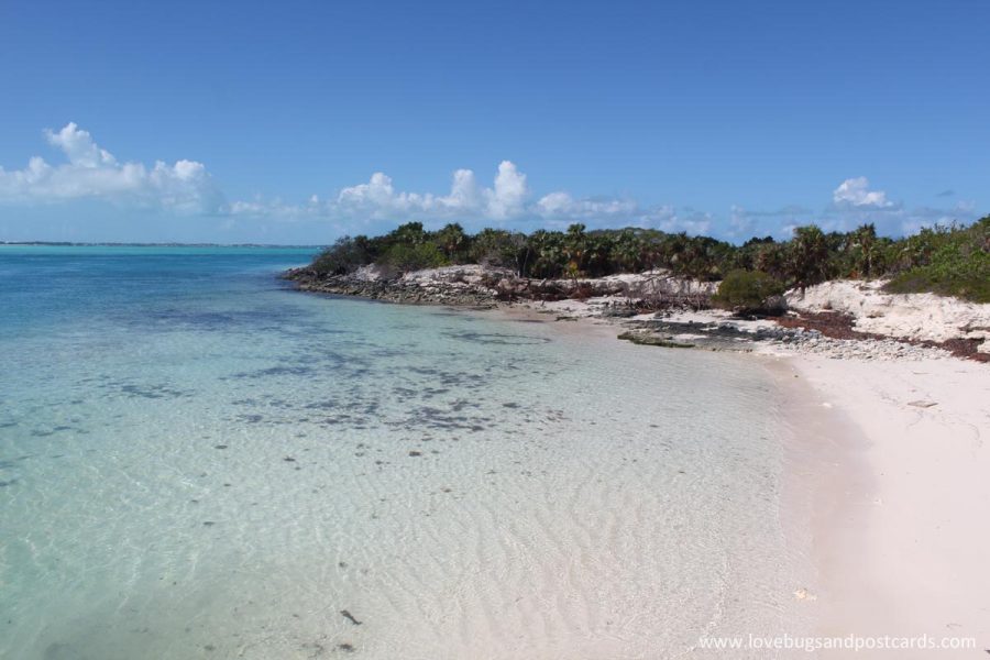 Little Water Cay (Iguana Island) - Turks & Caicos Providenciales ...