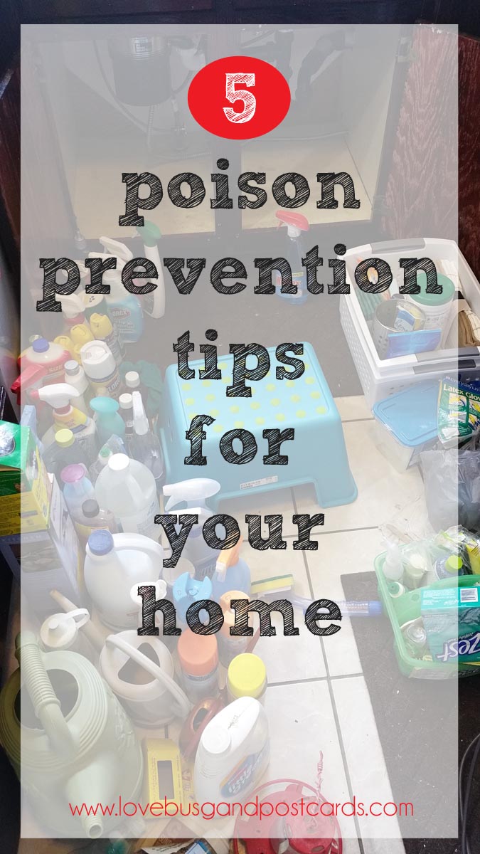 5 poison prevention tips for your home - Lovebugs and Postcards