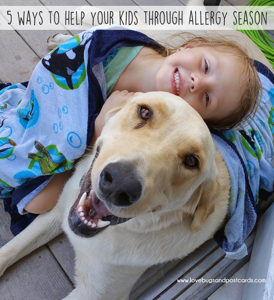 4 ways to help your kids through allergy season - Lovebugs and Postcards