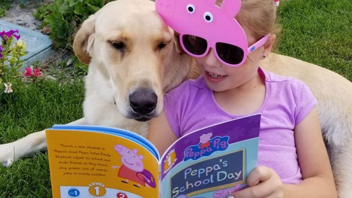 Back to school with Peppa Pig - Lovebugs and Postcards