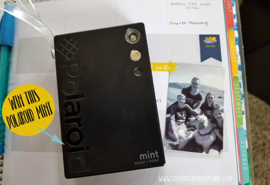 Polaroid Mint Instant Digital Camera (giveaway) - Lovebugs and Postcards
