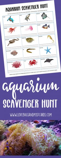 Aquarium Scavenger Hunt printable - Lovebugs and Postcards