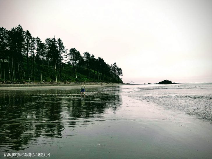 Ruby Beach in Washington - Lovebugs and Postcards