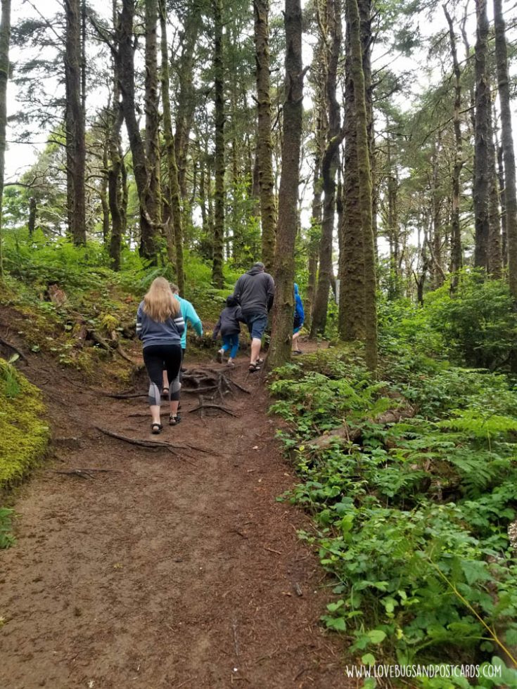 Hobbit Trail Hike in Oregon - Lovebugs and Postcards