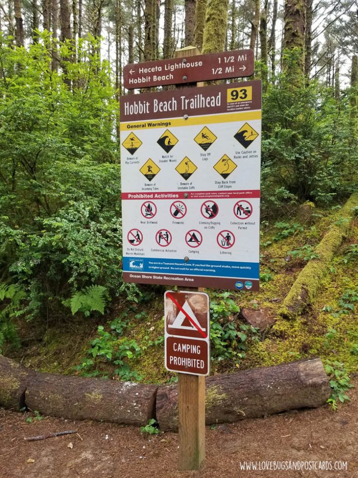 Hobbit Trail Hike in Oregon - Lovebugs and Postcards
