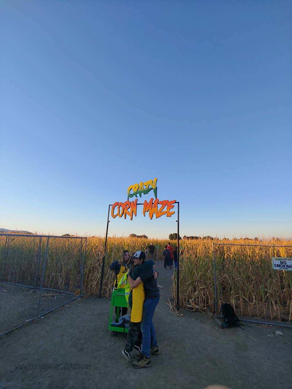 The Crazy Corn Maze & Nightstalkers in Utah - LBPC