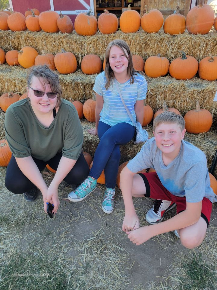 Wilkerson Farm Fall Festival Utah - Lovebugs and Postcards