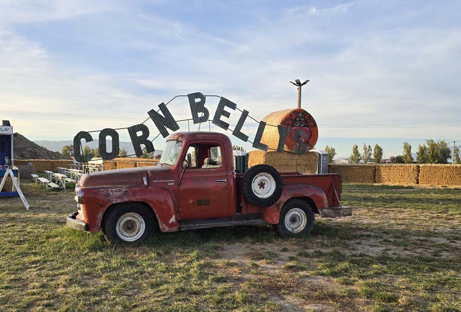 Cornbelly's in Spanish Fork - Lovebugs and Postcards