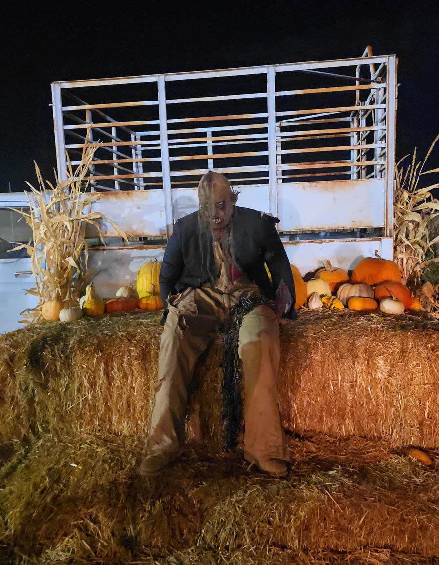 Field of Fright in Utah - Lovebugs and Postcards